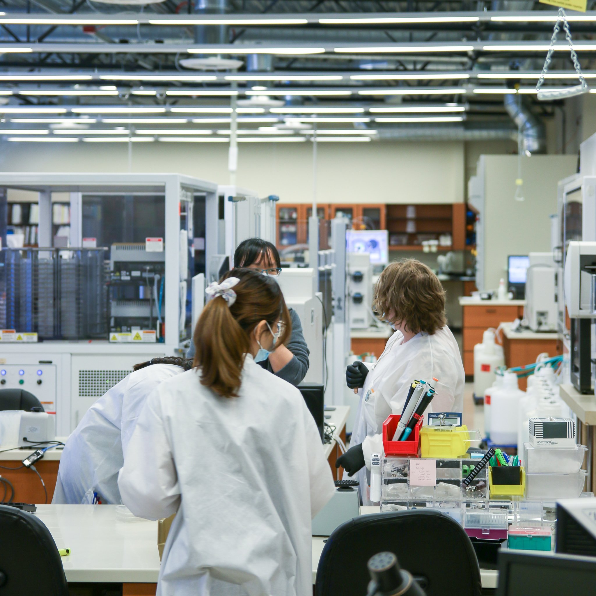 About Our Laboratory