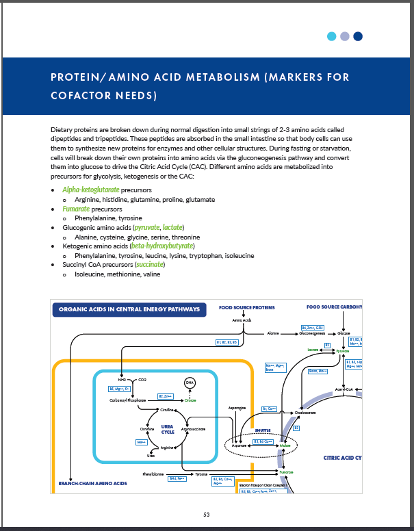 New Insights– Updates to our Organic Acids Profile and Guide
