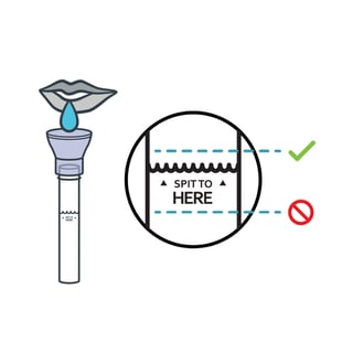 Saliva Collection Instructions