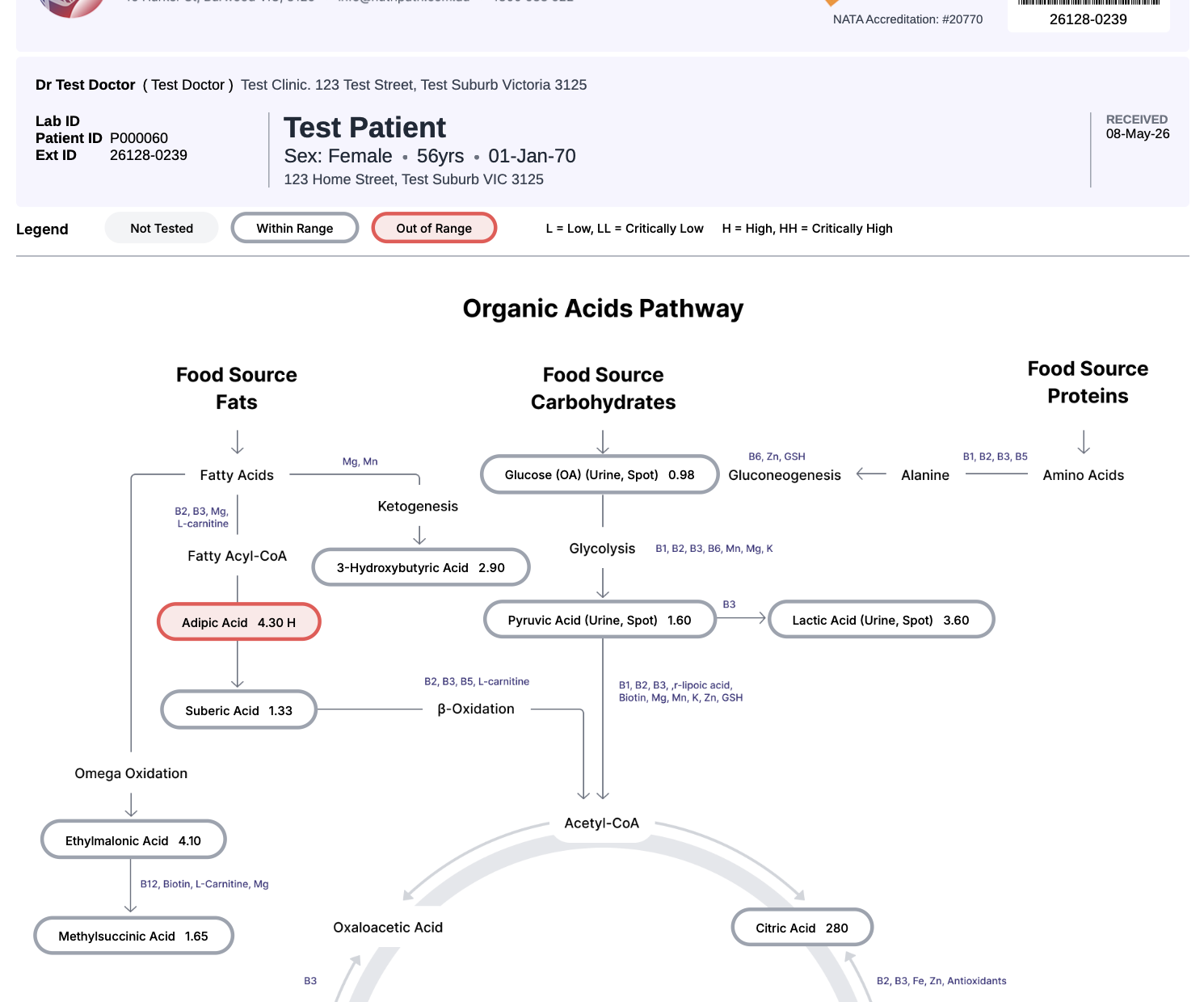 Organic Acids Profile