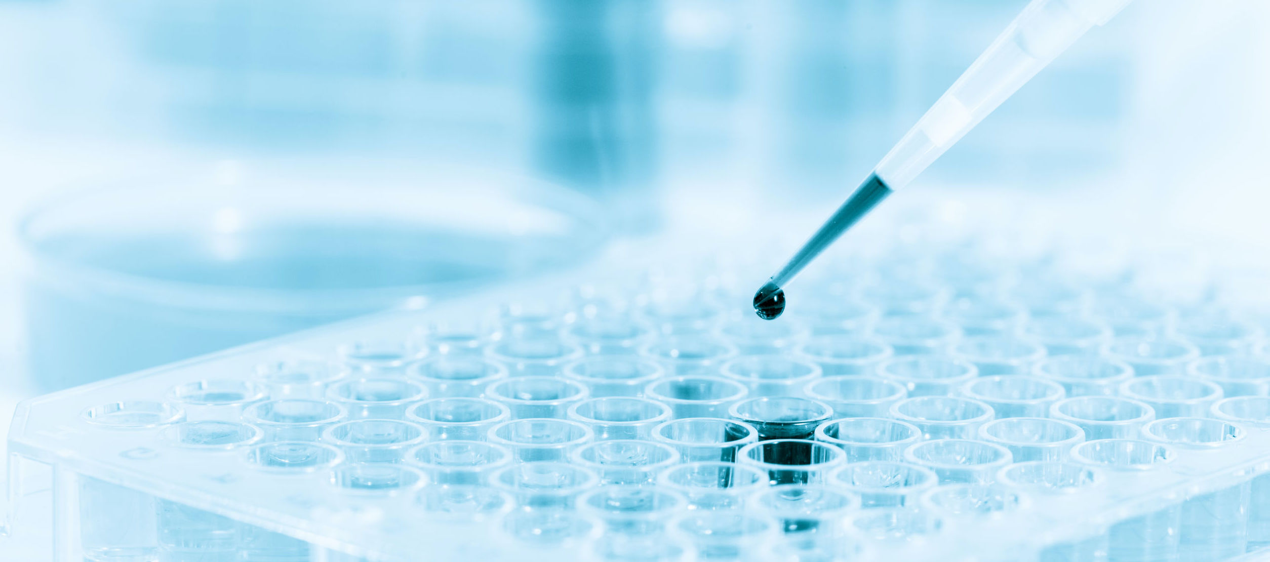 Laboratory Testing Insights: Managing Immune Homeostasis and ...