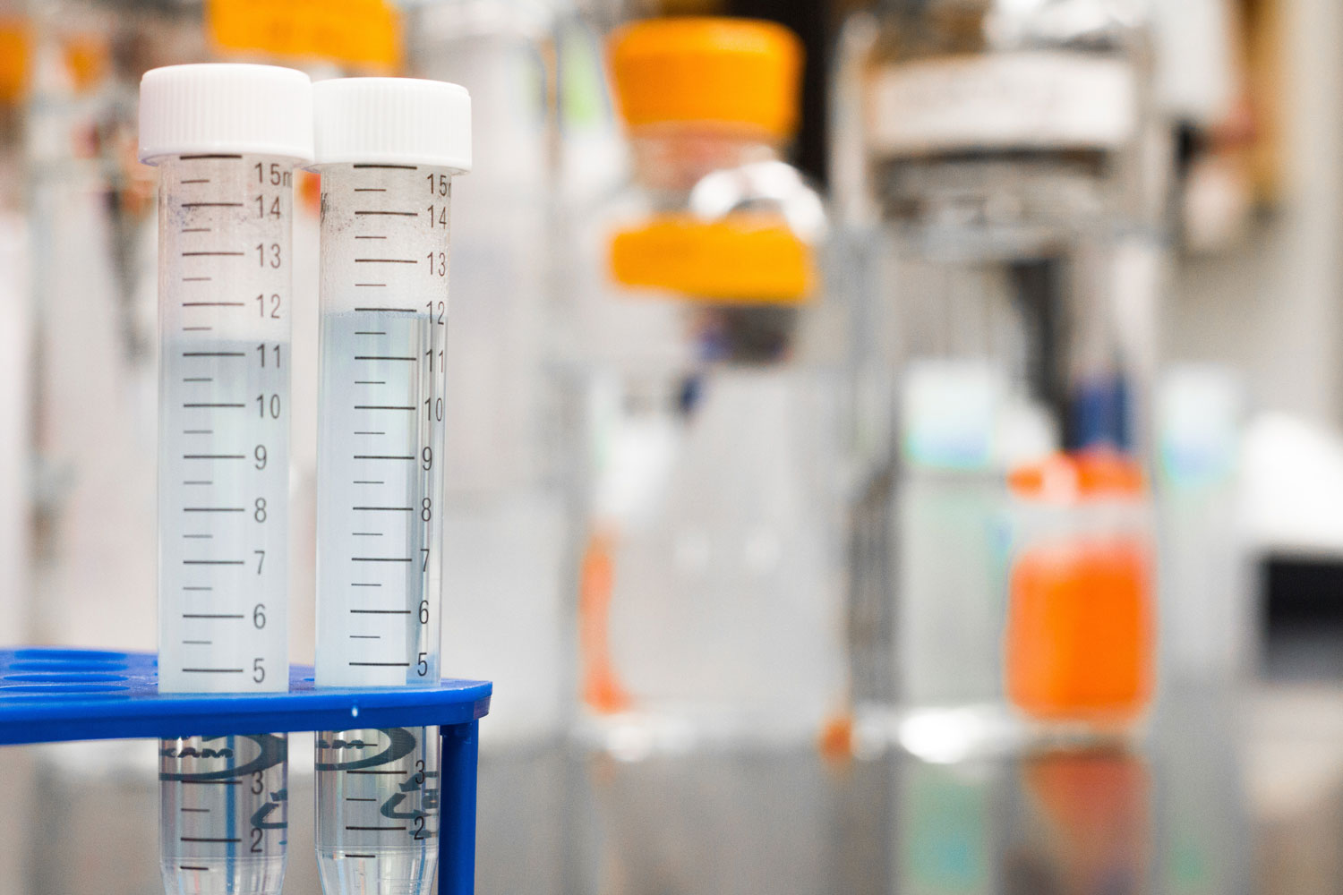 Demystifying Allergic Cross Reactivity